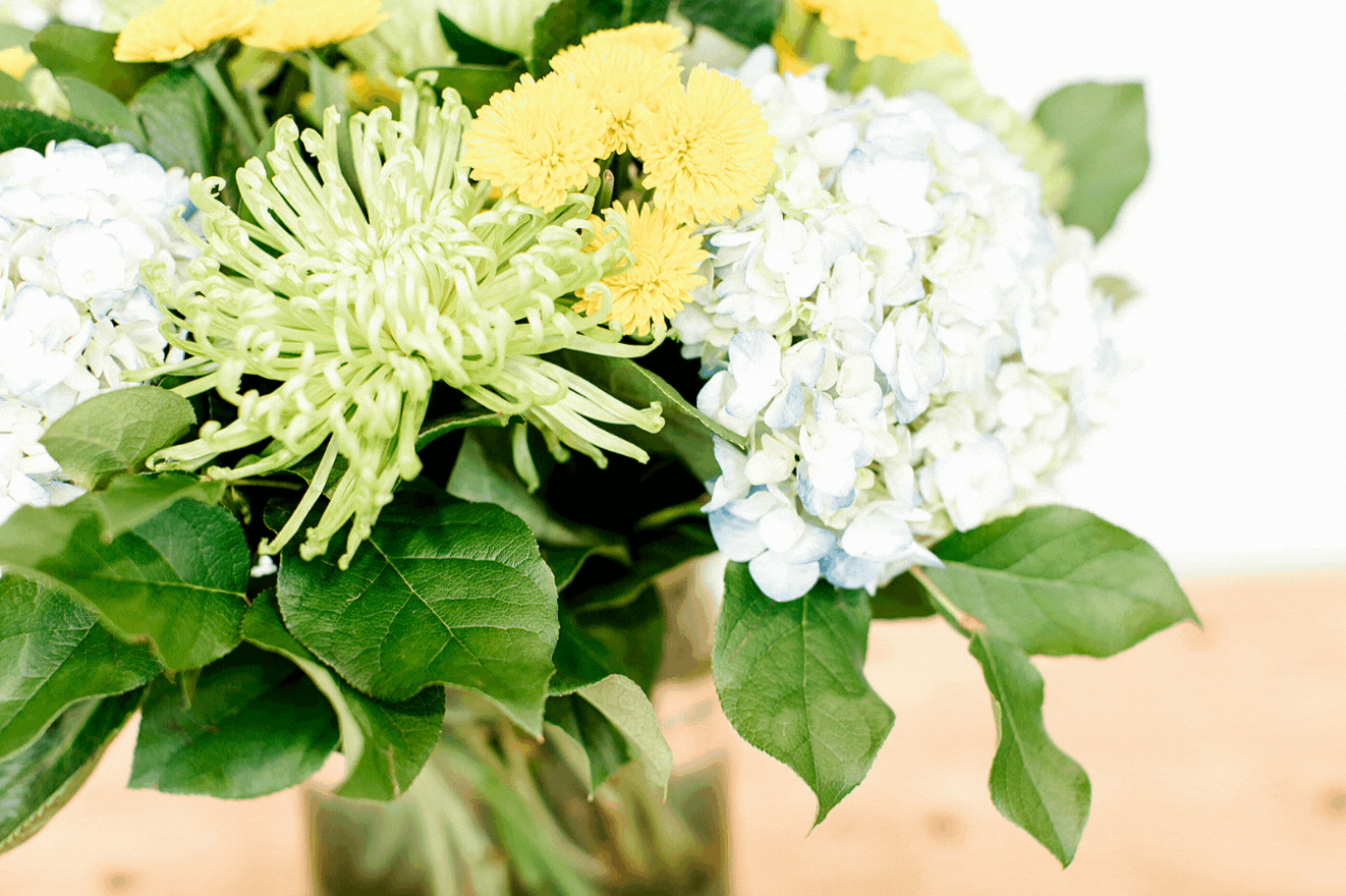 Beyond Flowers - Winnipeg Florist | Fresh Flowers & Floral Design