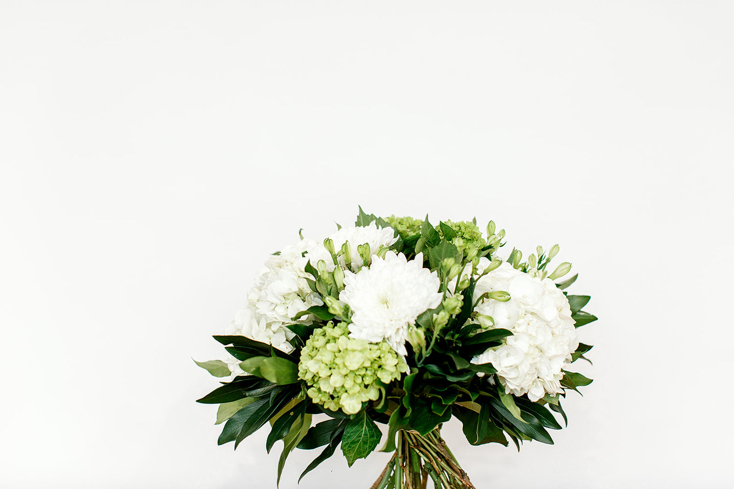 Beyond Flowers - Winnipeg Florist | Fresh Flowers & Floral Design